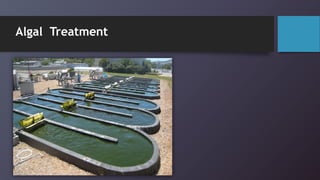 Wastes from distilleries and their effective treatment methodology | PPTX