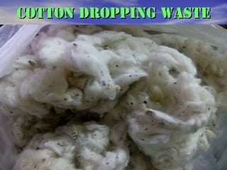 Any Type of Coloured Cotton Waste to Pure White Cotton Fiber Project | PPT