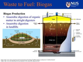 Waste to energy | PPTX