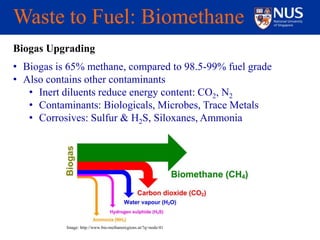 Waste to energy | PPTX