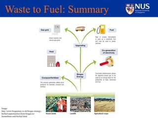 Waste to energy | PPTX