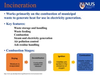 Waste to energy | PPTX