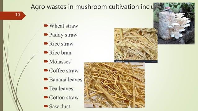 Waste to wealth | PPTX | Agriculture | Industries