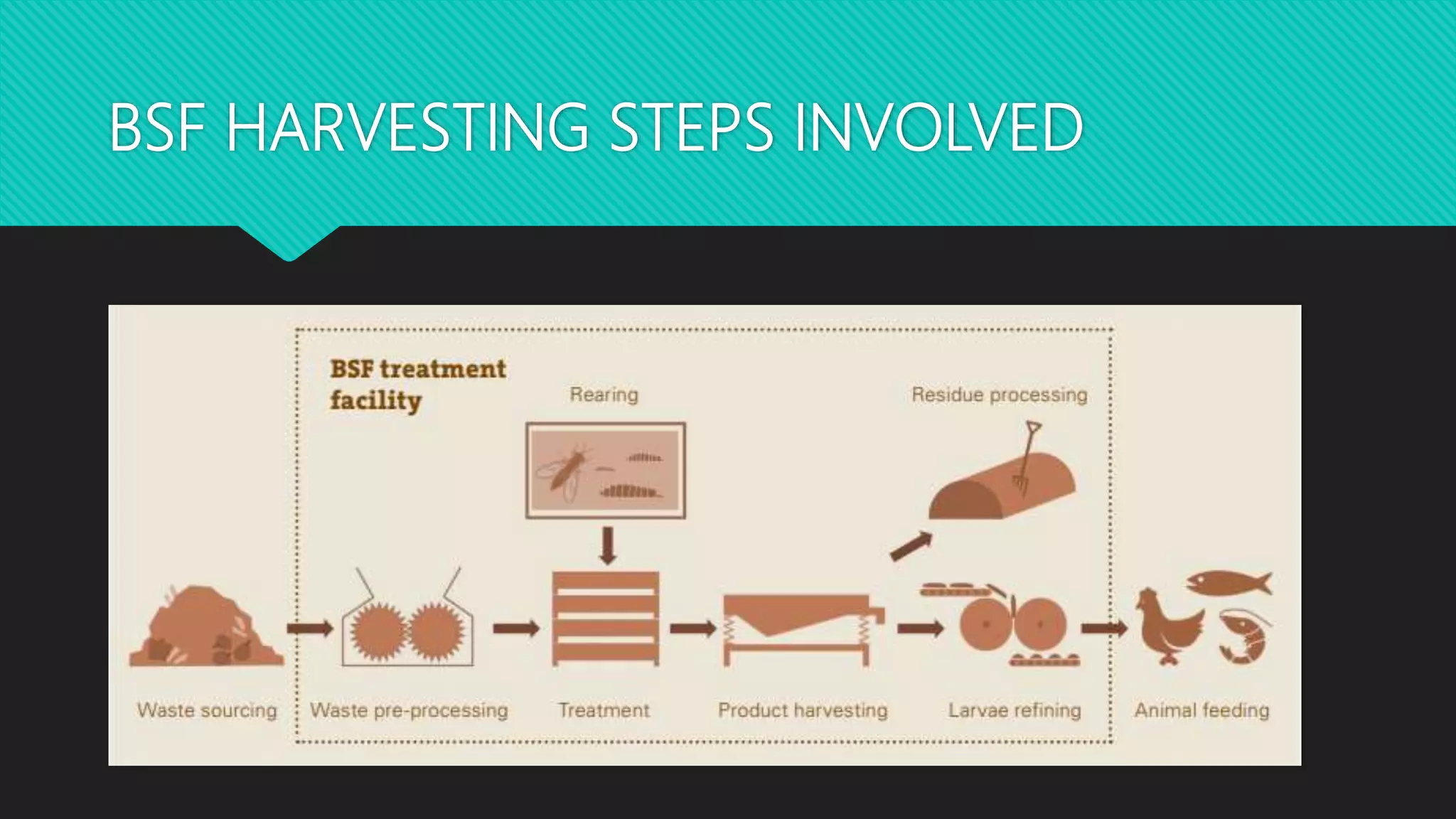 Waste to wealth | PPT
