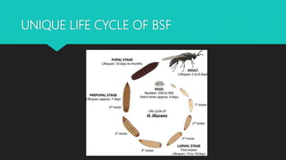 Waste to wealth | PPT