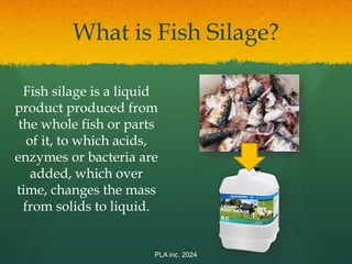 Waste to Wealth & Young Farmers: Using ensiled fish residue as a feed ...