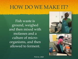 Waste to Wealth & Young Farmers: Using ensiled fish residue as a feed ...