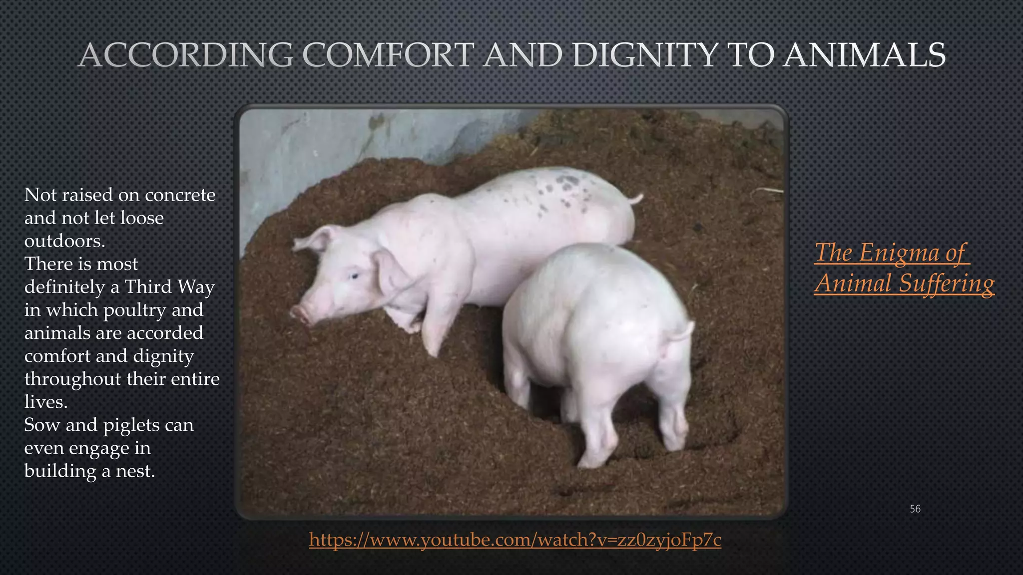 Waste transformation closed loop farming | PPTX