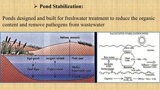 Waste water treatment and disposal in aquaculture farm.pptx