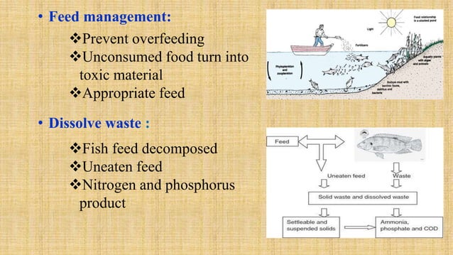 Waste water treatment and disposal in aquaculture farm.pptx