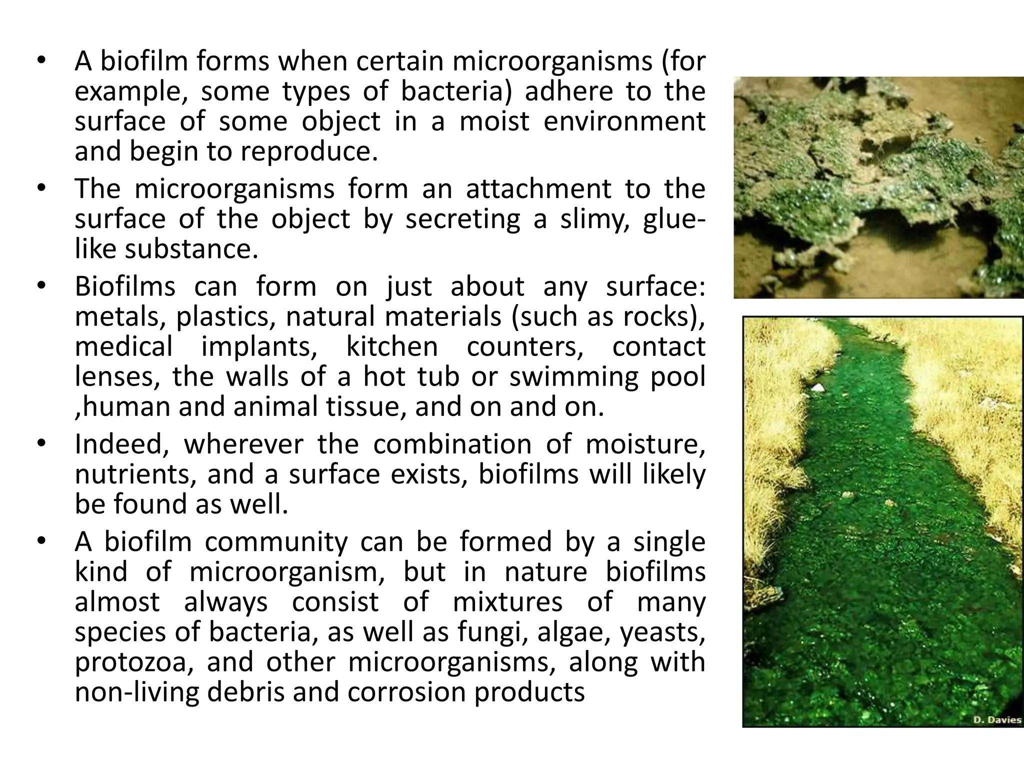 Wastewater,biofilm,sewage disposal,environmental microbiology | PPTX