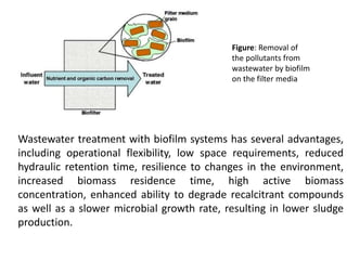 Wastewater,biofilm,sewage disposal,environmental microbiology | PPTX