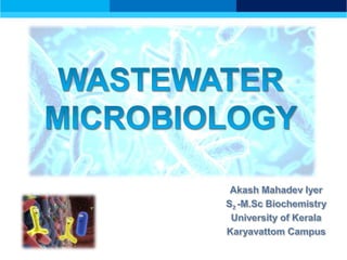 Wastewater microorganisms | PPTX