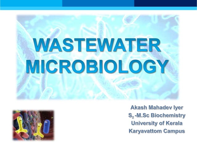 Wastewater microorganisms | PPTX