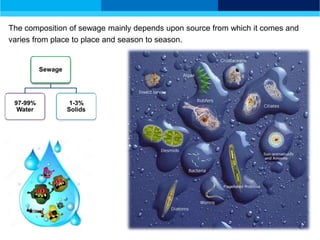 Wastewater microorganisms | PPTX