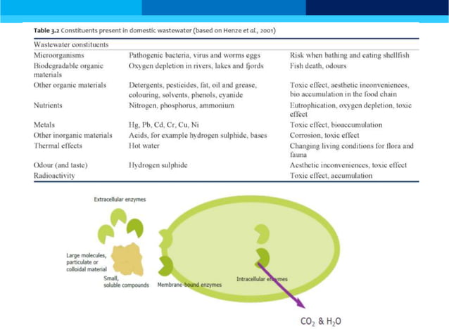 Wastewater microorganisms | PPTX