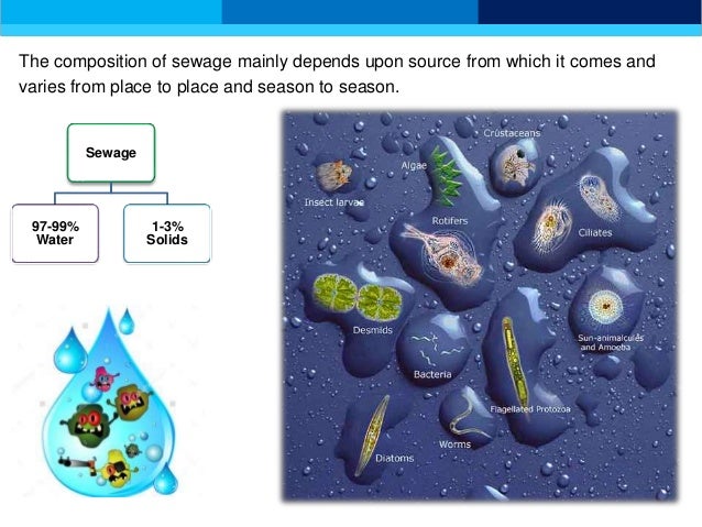 Wastewater microorganisms