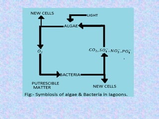 Waste water microbiology | PPTX