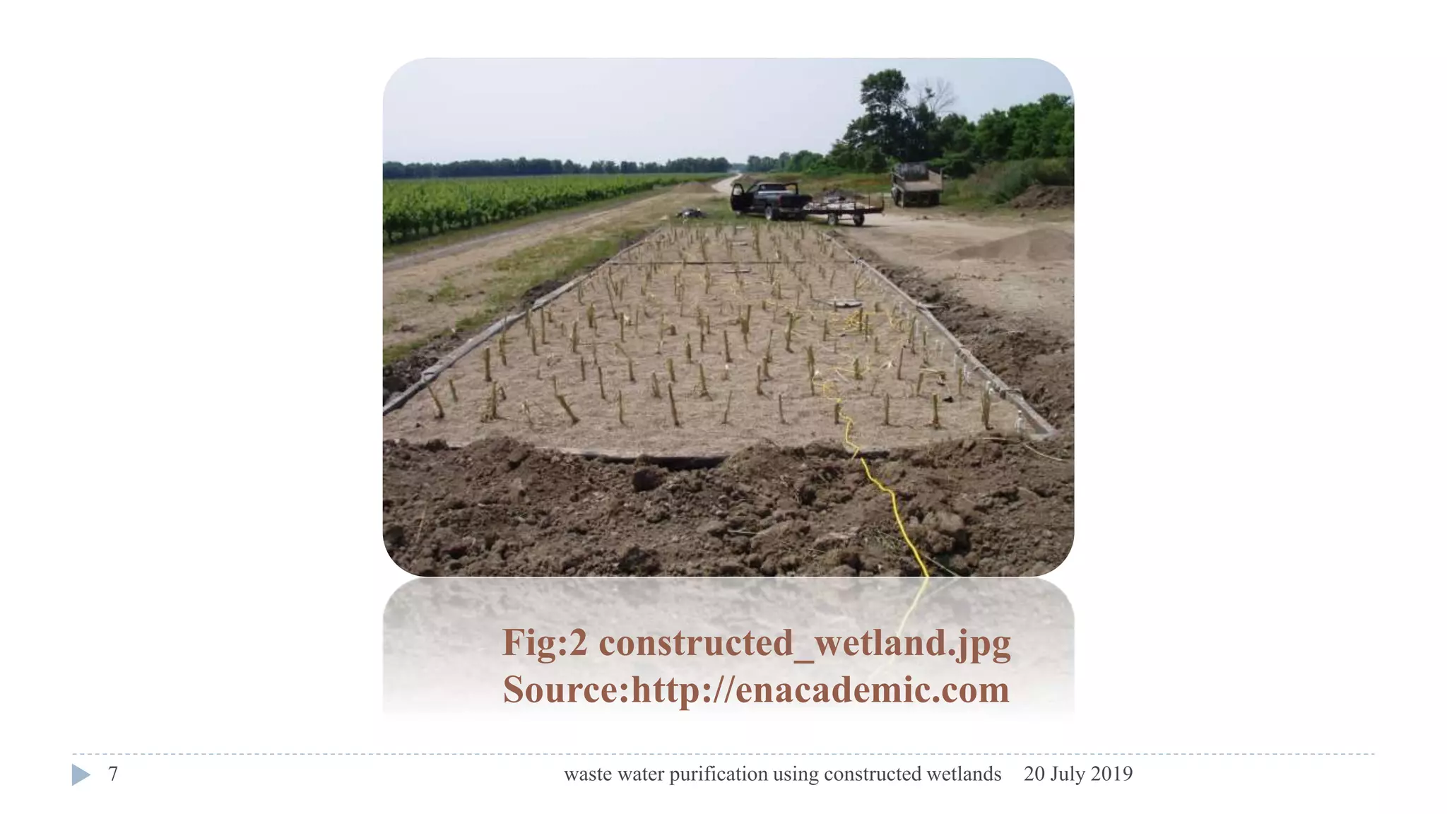 Waste water purification using cnstructed wetlands | PPTX