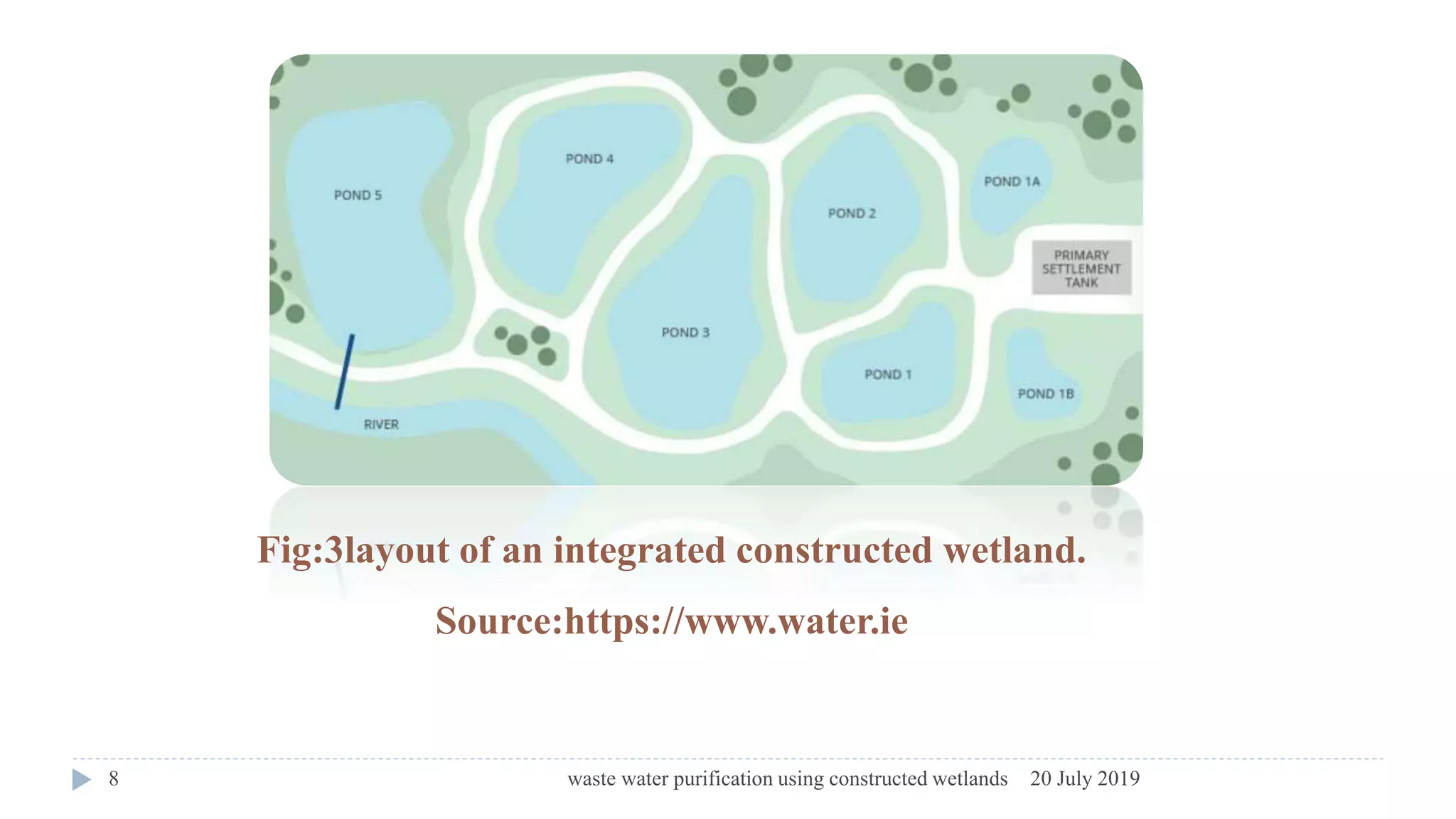Waste water purification using cnstructed wetlands | PPTX