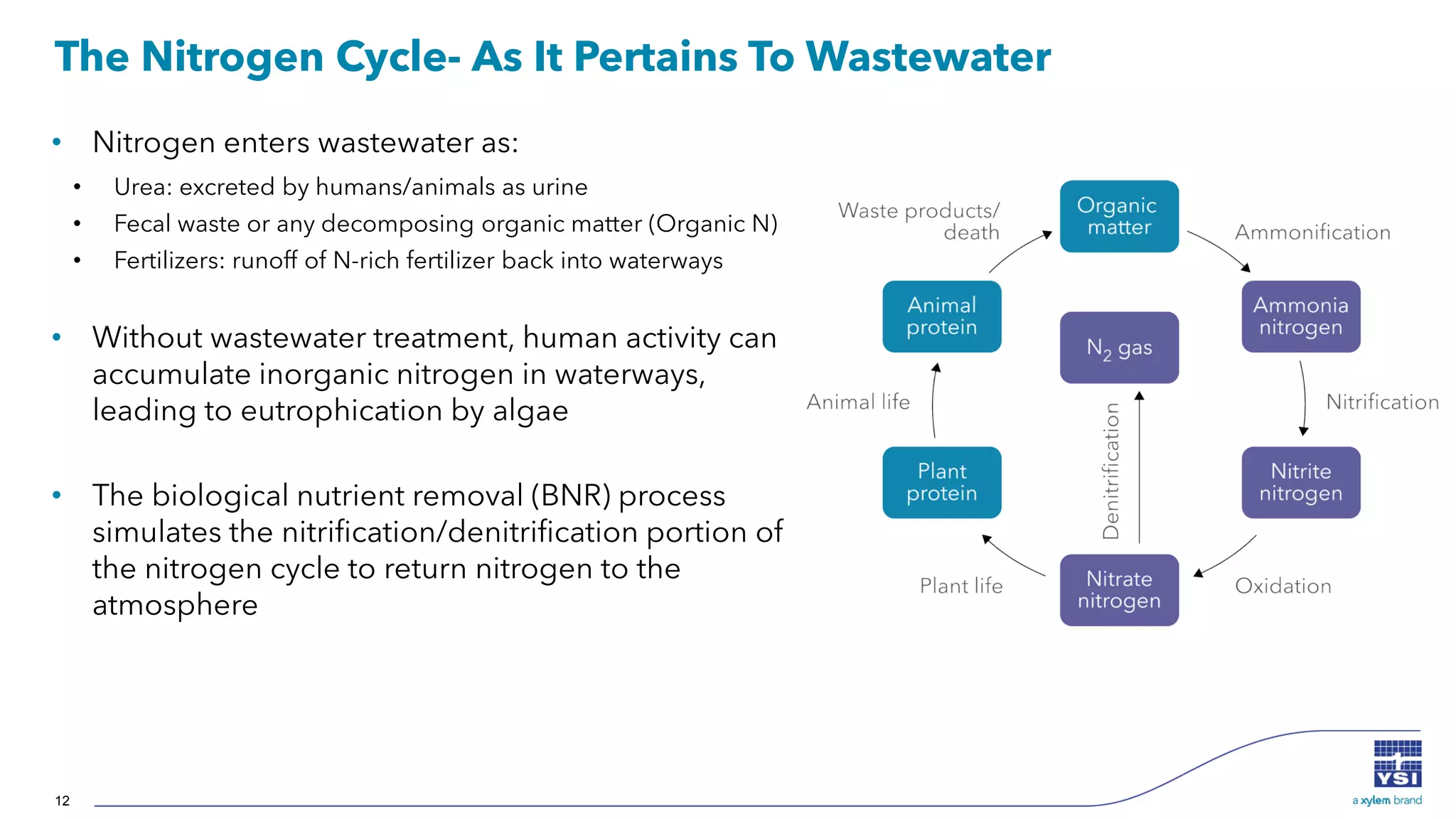 Wastewater strategies for Biological Nutrient Removal of Nitrogen | PDF