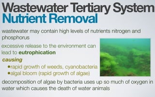 Wastewater tertiary system | PPT