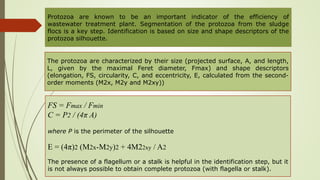 Role of protozoa and algae in waste water treatment plant | PPTX