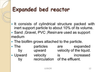 Biological treatment of Waste water | PPT