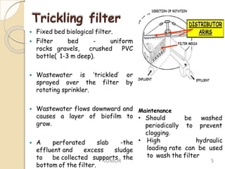Biological treatment of Waste water | PPT