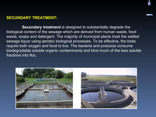 Wastewater treatment | PPT