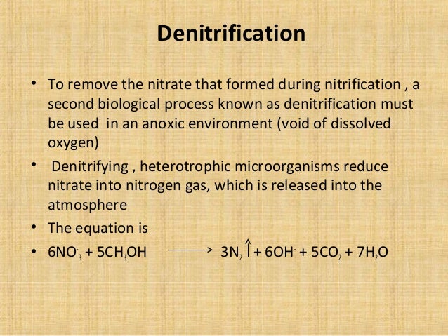 Nitrification Equation