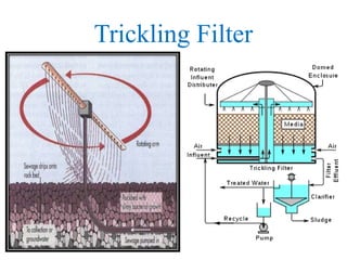 Waste water treatment | PPT