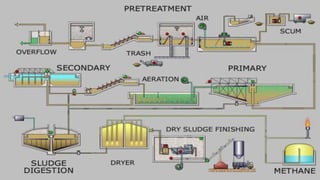 Waste water treatment | PPTX | Environmental Services Industry | Industries