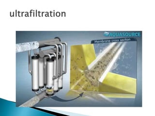 Wastewater treatment | PPT