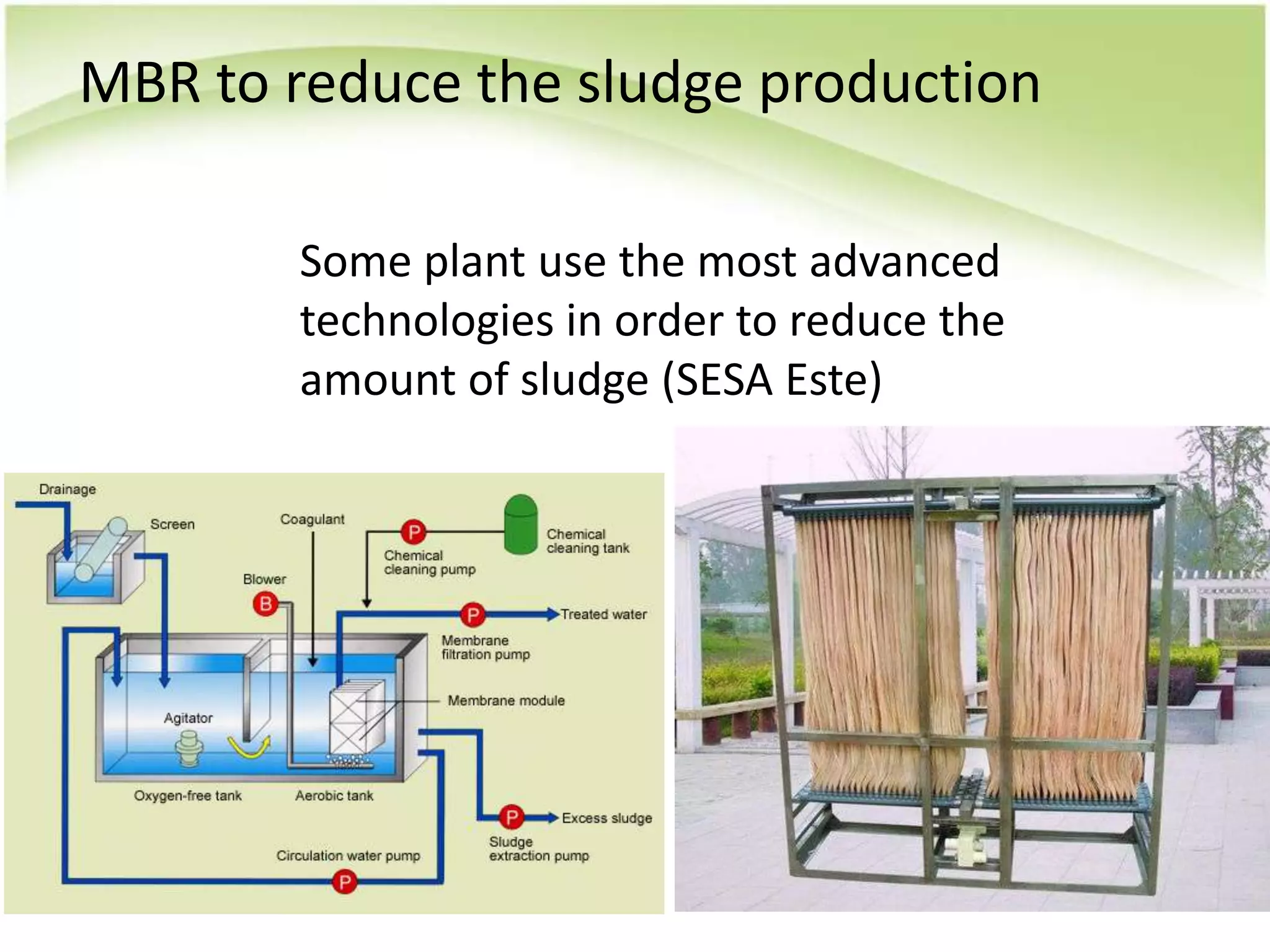 Waste water treatment and sewage slugde management in Veneto: the role ...