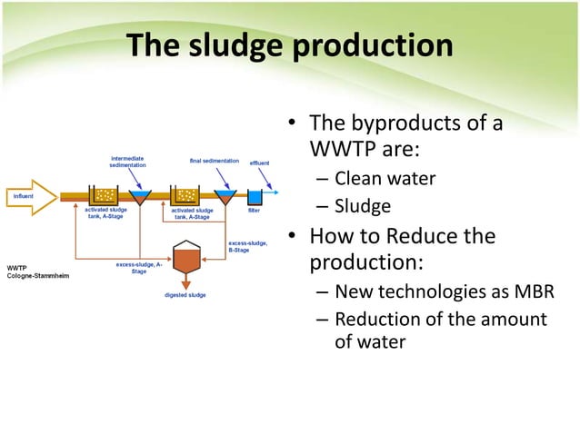 Waste water treatment and sewage slugde management in Veneto: the role ...