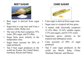 Sugar Beet Vs Sugar Cane