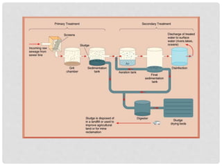 Wastewater treatment plant | PPTX