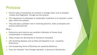 Waste water treatment | PPTX