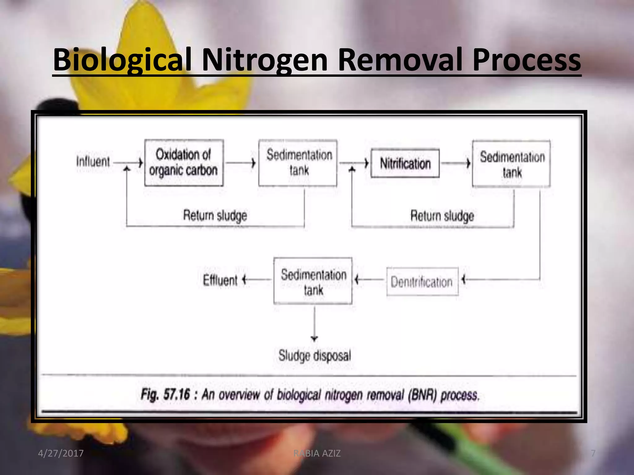 Wastewater treatment technologies for removal of nitrogen and ...