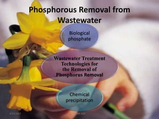 Wastewater treatment technologies for removal of nitrogen and ...