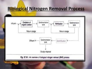 Wastewater treatment technologies for removal of nitrogen and ...