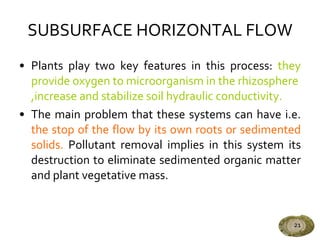 Wastewater Treatment Using Constructed Wetlands | PPT