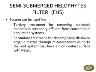 Wastewater Treatment Using Constructed Wetlands | PPT