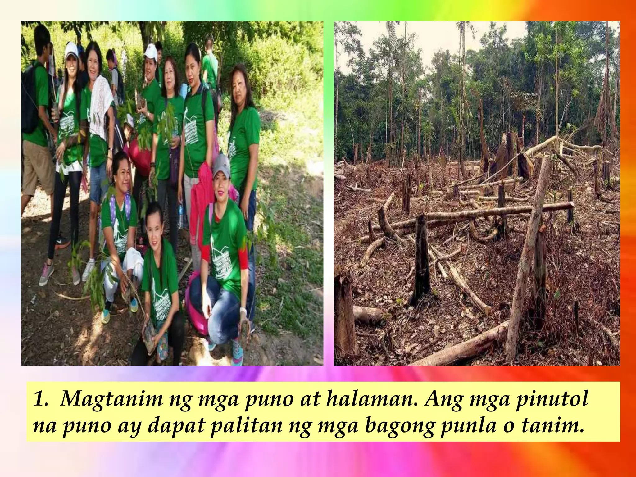 Wastong pagpapahalaga sa pinagkukunang yaman ng pilipinas | PPTX