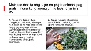 EPP IV - Agriculture | PPTX