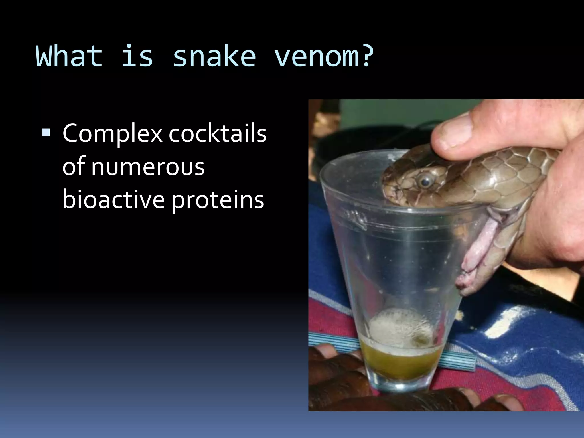 Why is Snake Venom Composition So Variable | PPTX