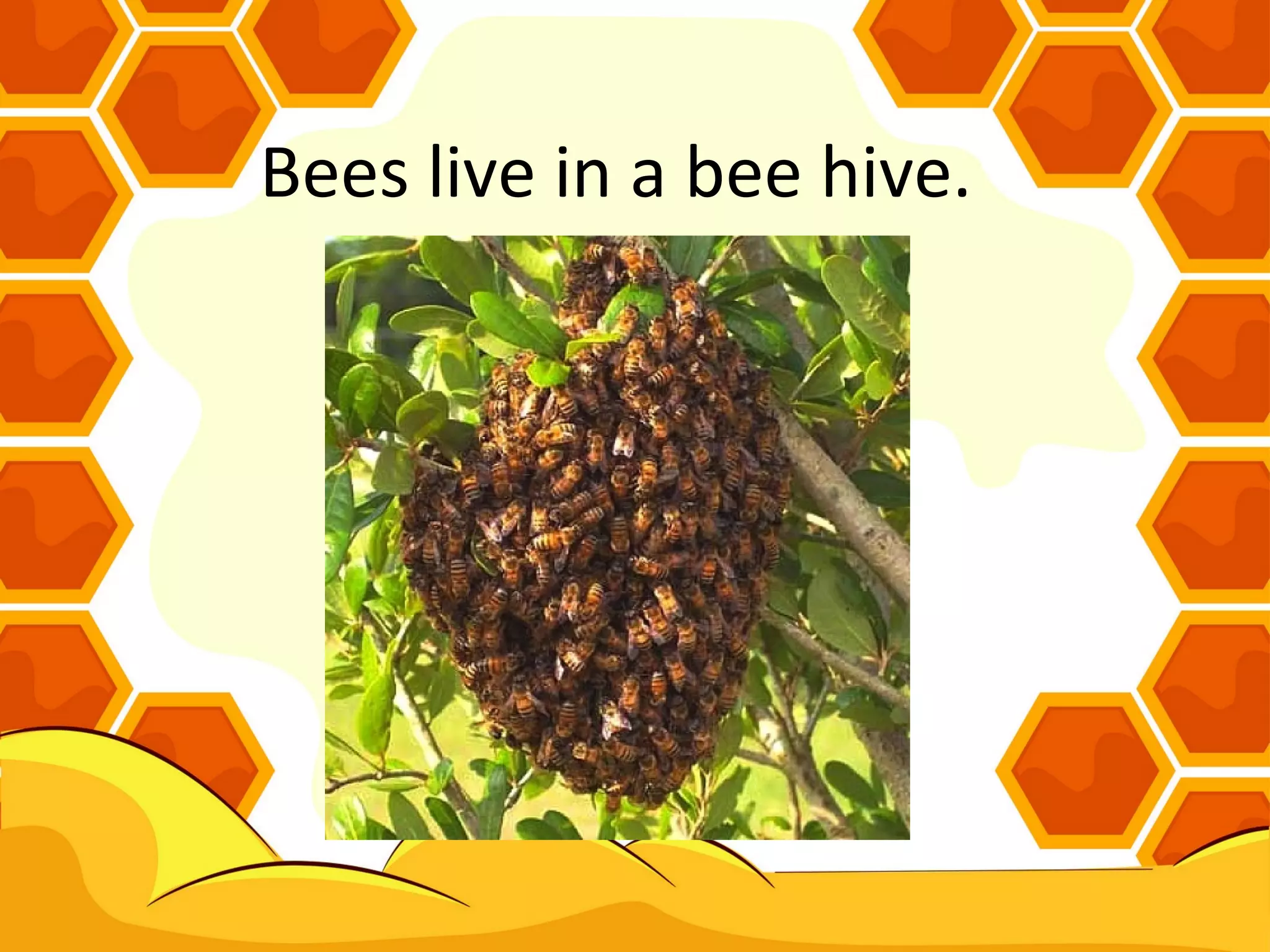 English KSSR year 5 poem (Watching a bumble bee) | PPT