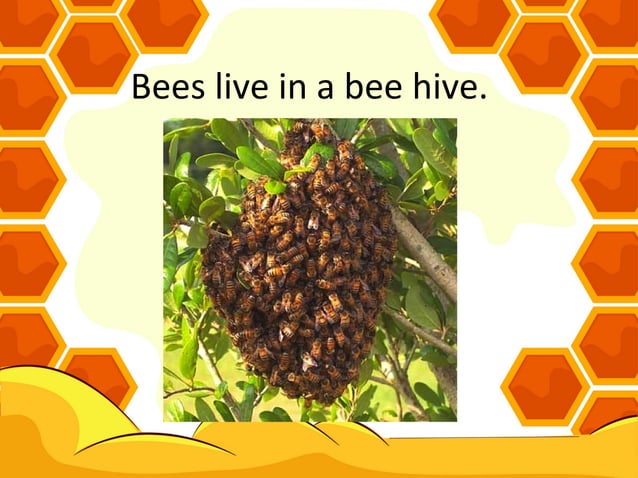 English KSSR year 5 poem (Watching a bumble bee) | PPT | Beekeeping ...