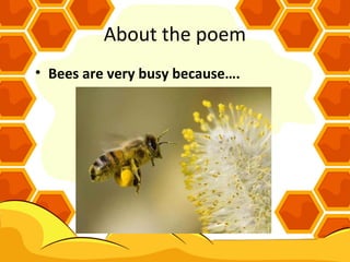 English KSSR year 5 poem (Watching a bumble bee) | PPT